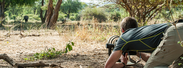 Specialist wildlife photographic safaris to destinations around Africa ...